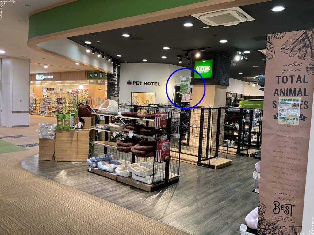 【伊丹市】昆陽イオンのペットショップで新情報を発見しました！！ | 号外NET 伊丹市